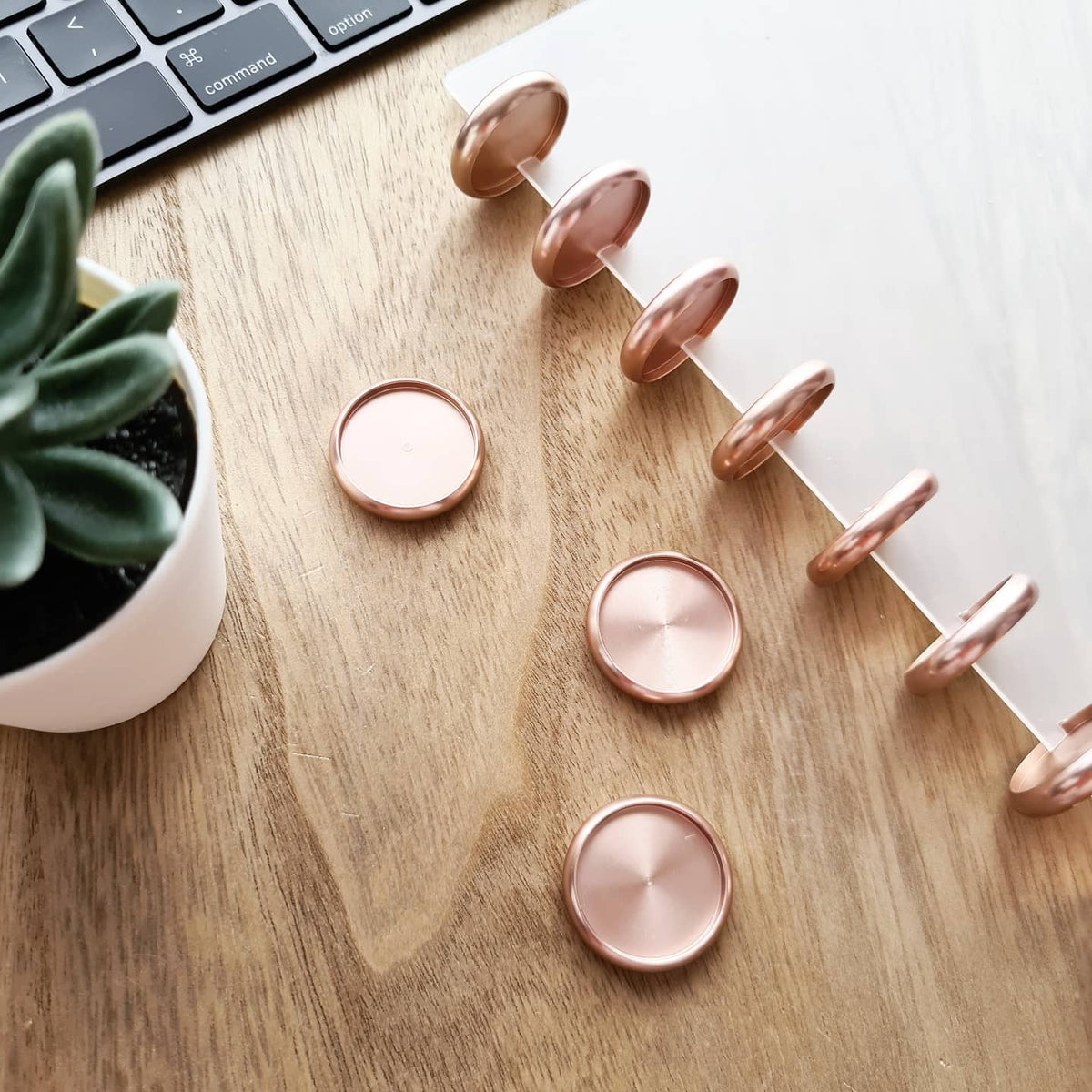 Aluminium Binding Discs for Discbound System | Rose Gold | MAY PAPER CO.